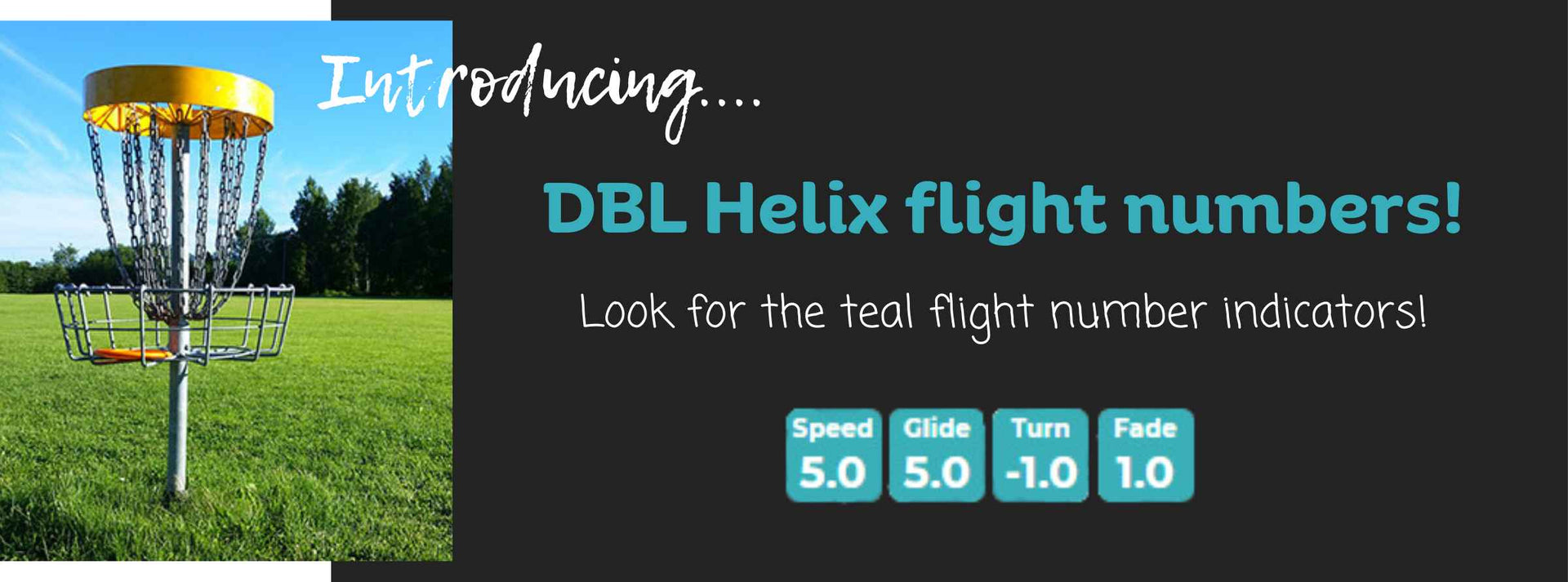 Double Helix Disc Sports